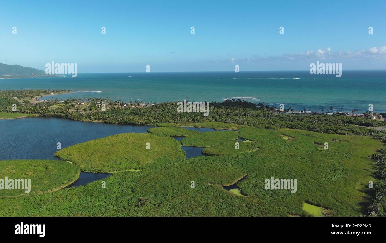 San juan rico mangrove hi-res stock photography and images - Alamy