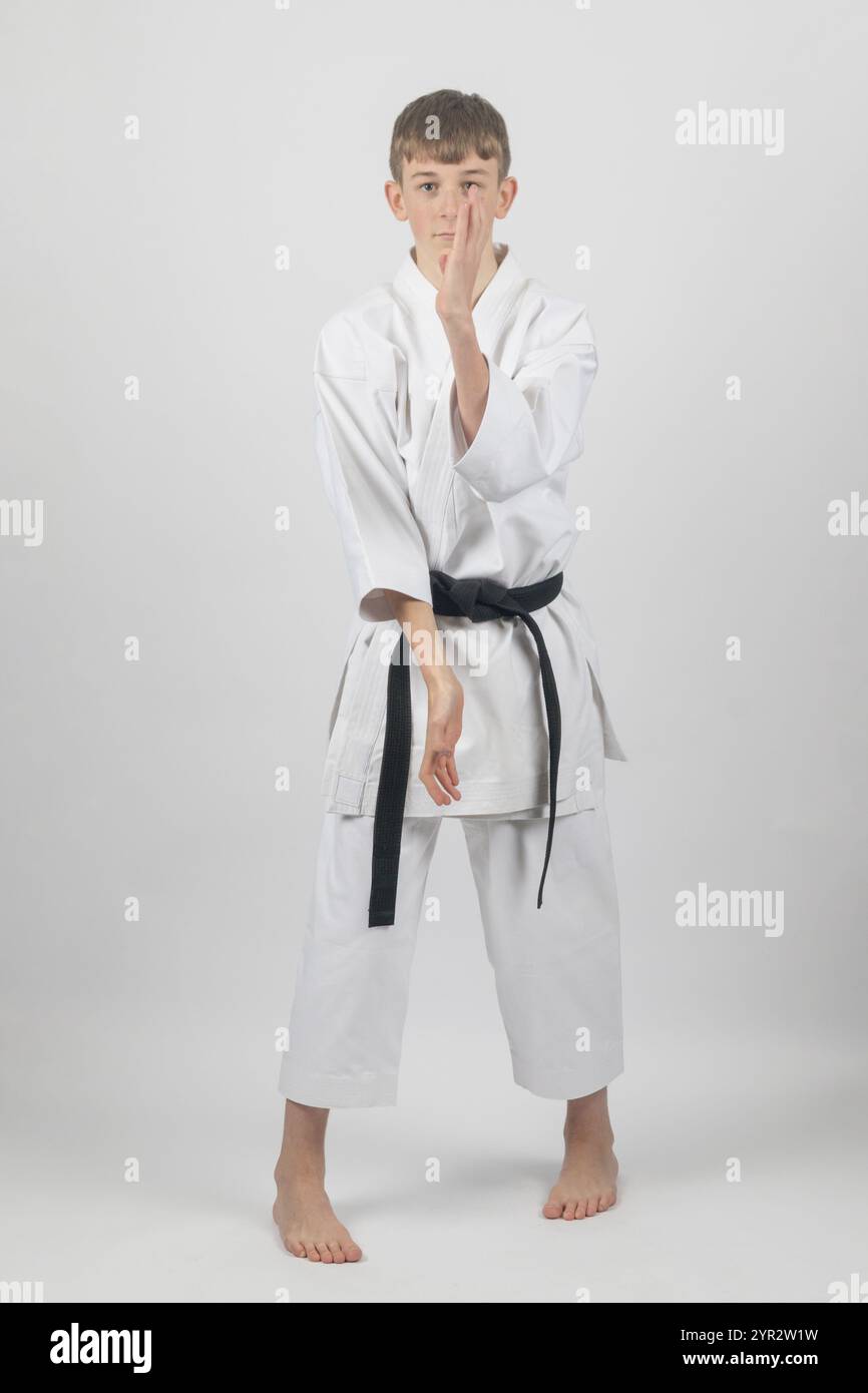 Fifteen year old male teenage karate black bel in sanchin stance doing ...