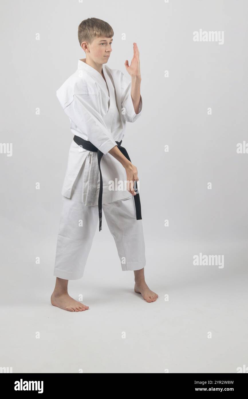 Fifteen year old male teenage karate black bel in sanchin stance doing ...