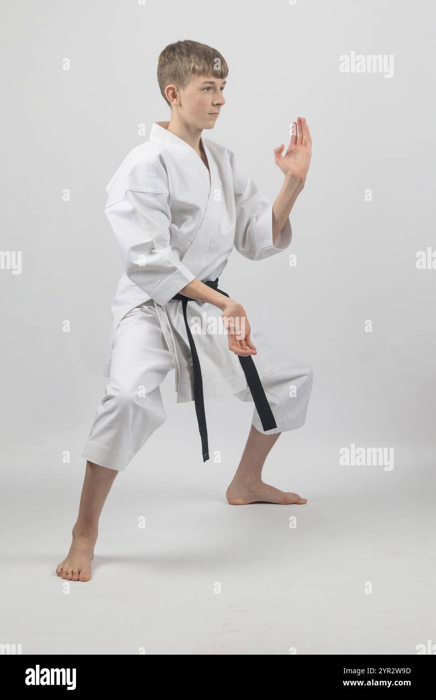 Fifteen year old male teenage karate black belt standing in a low ...