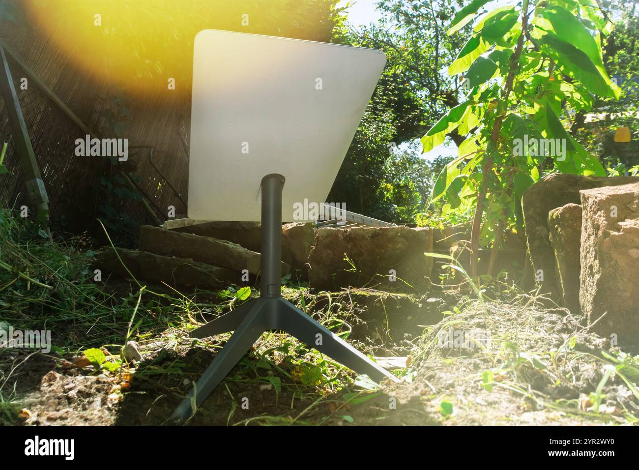 Low-angle view of a satellite internet antenna positioned in a garden ...