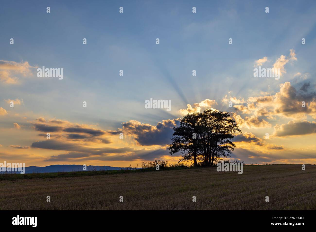 Landscape in a nature reserve Broumovske steny, eastern Bohemia, Czech ...