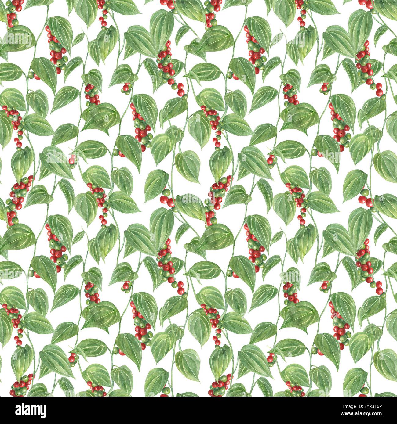 Watercolor intertwining climbing aromatic pepper branches seamless ...