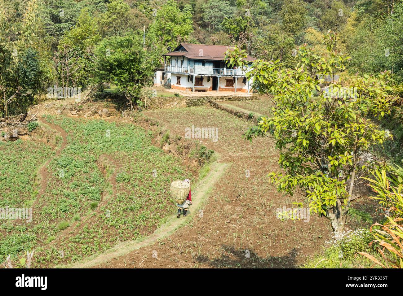 Traditional village scenes in the Himalayan foothills on the ...