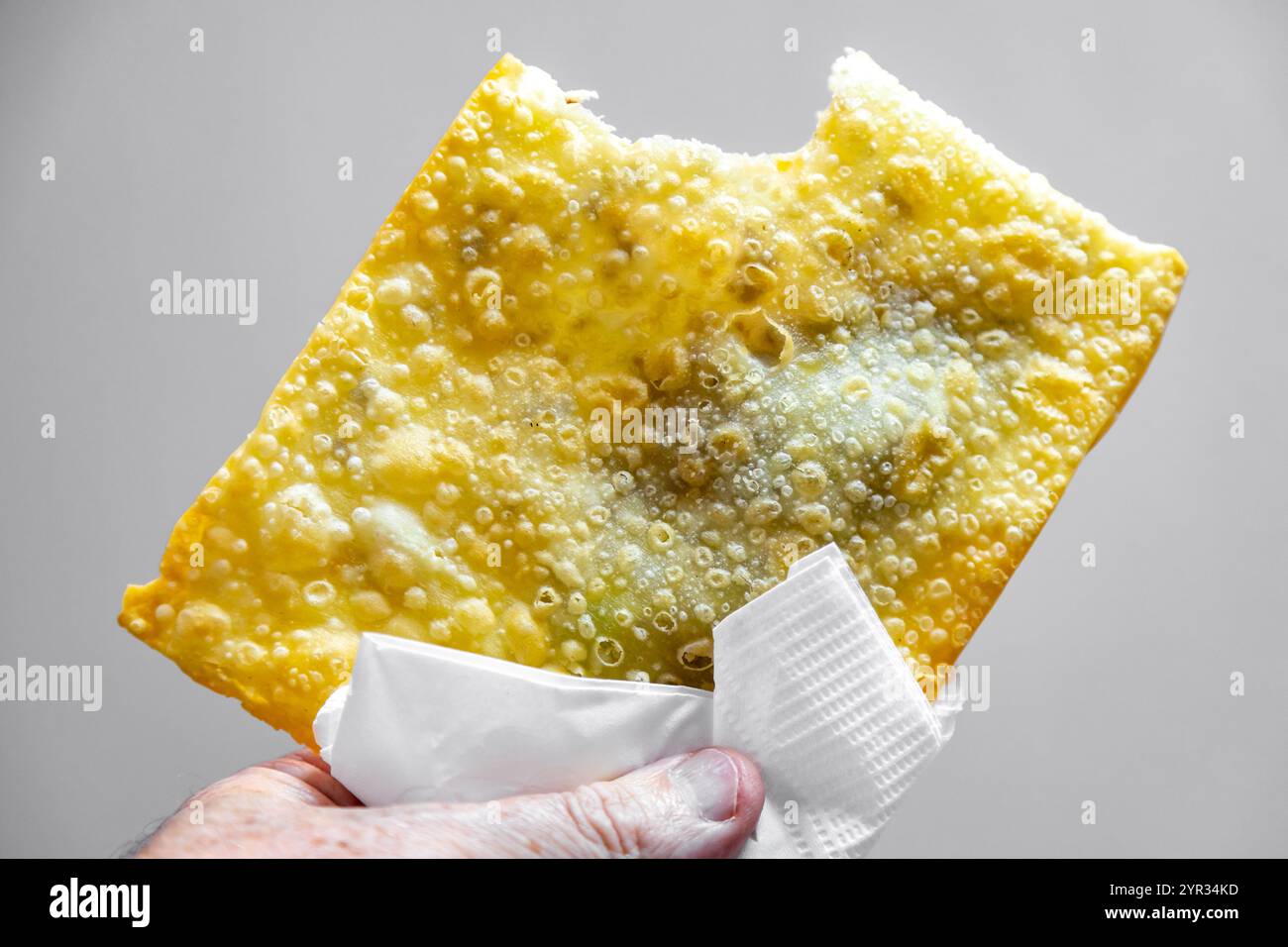 Traditional Brazilian fried pastry stuffed with ground beef. "Pastel de ...