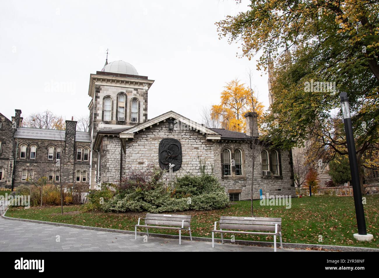 Fall trees in downtown toronto hi-res stock photography and images - Alamy