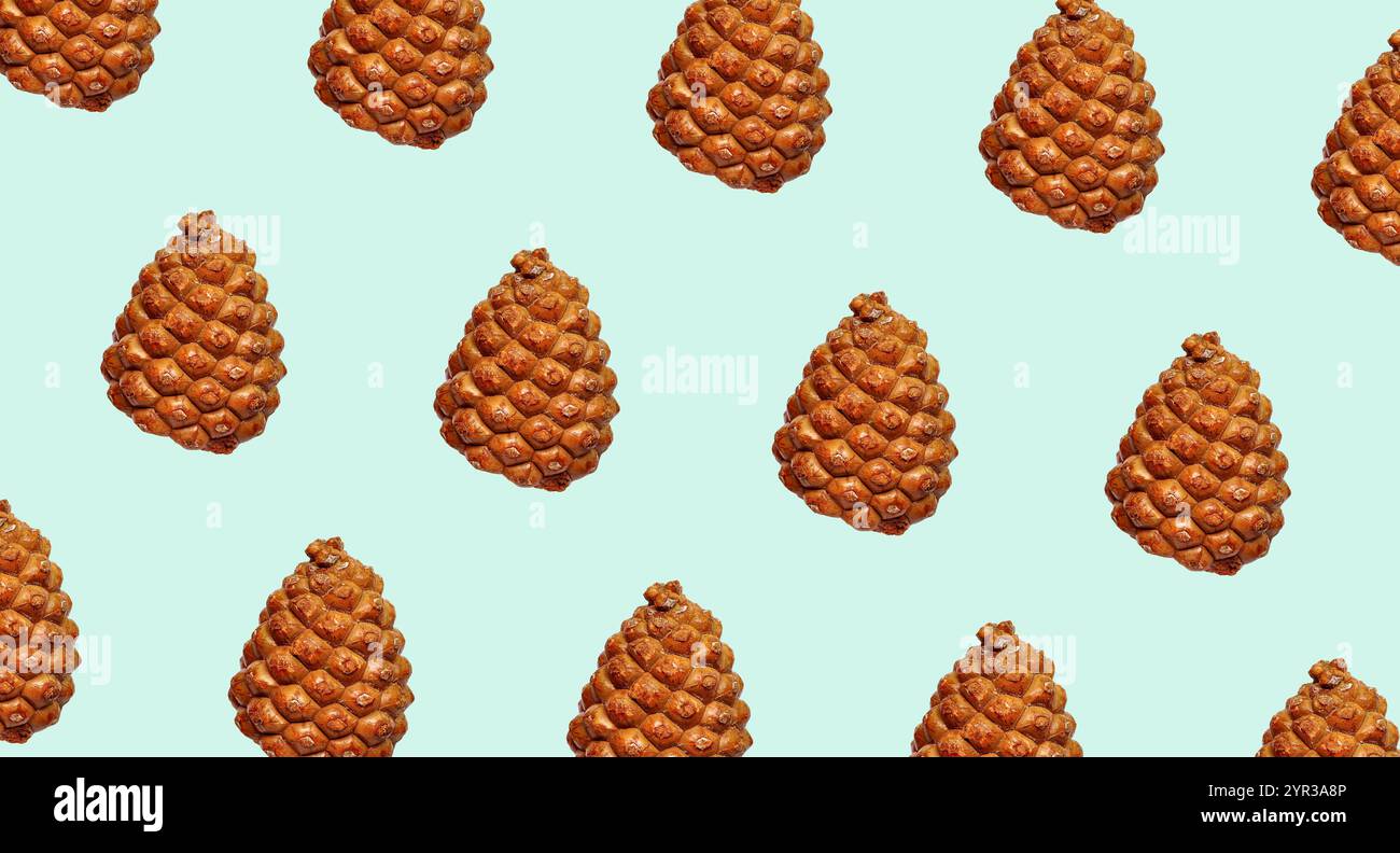 Pine cones pattern. Isolated pinyon pine cone, cedar cone. Pine nuts, seeds. Nutritious food ...