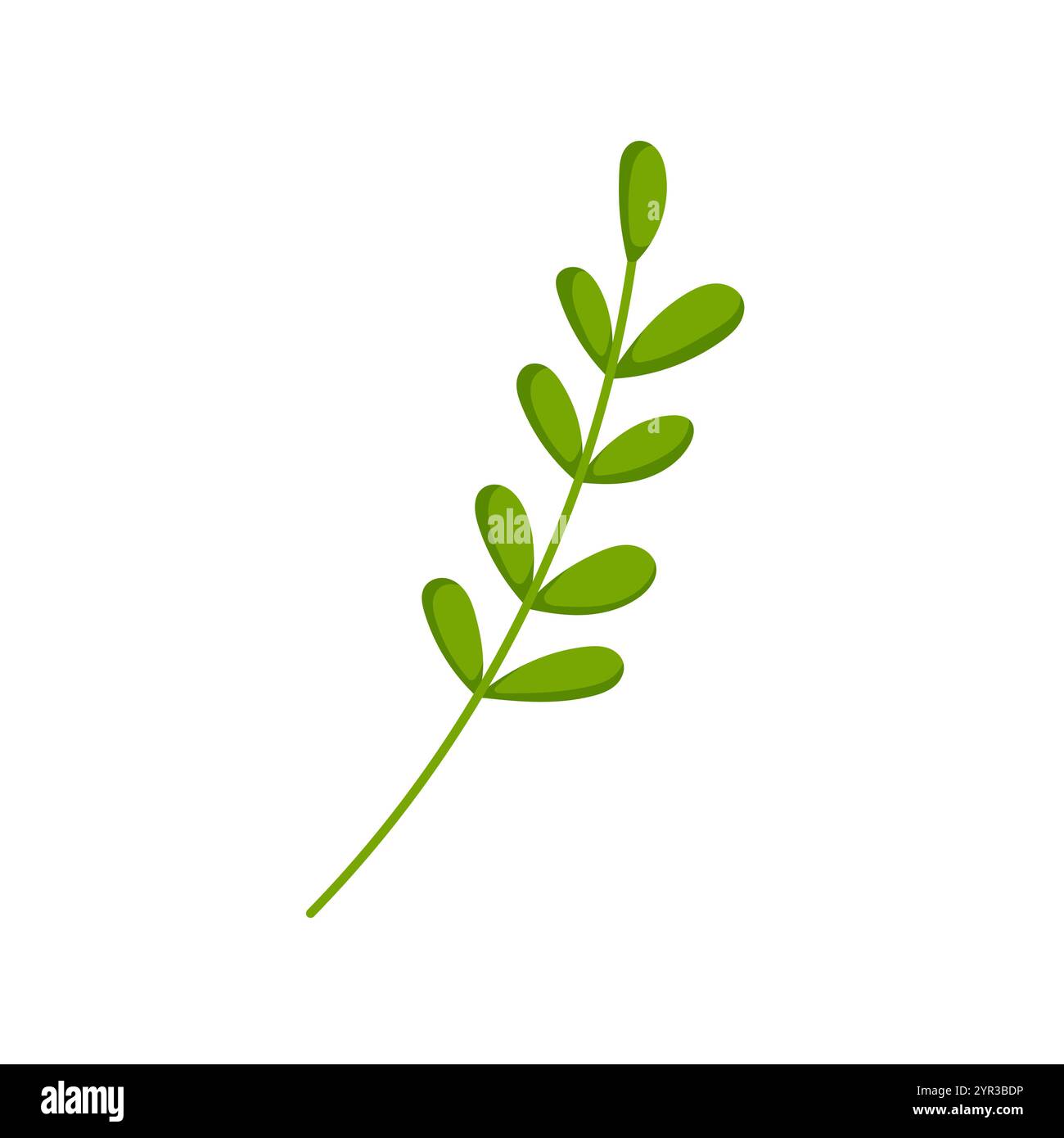 Green branch with rounded leaves in cartoon style. Simple botanical ...