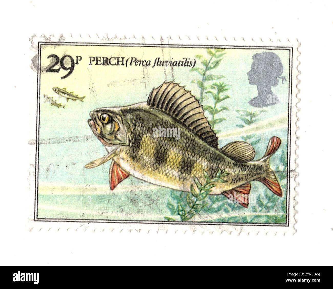 1st class postage stamp Cut Out Stock Images & Pictures - Alamy