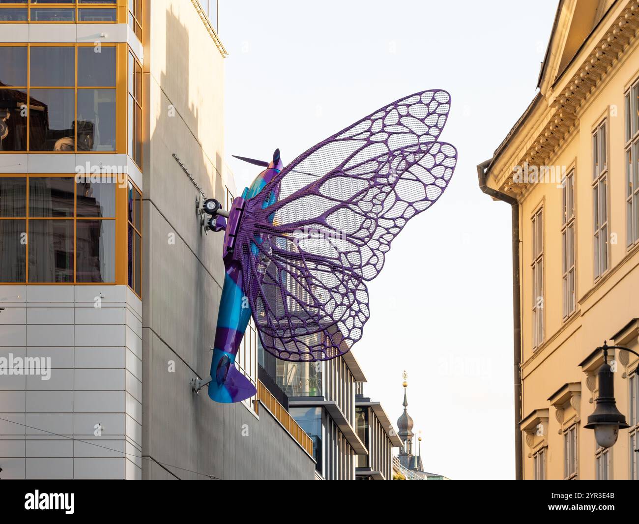 Airplane butterfly wings hi-res stock photography and images - Alamy