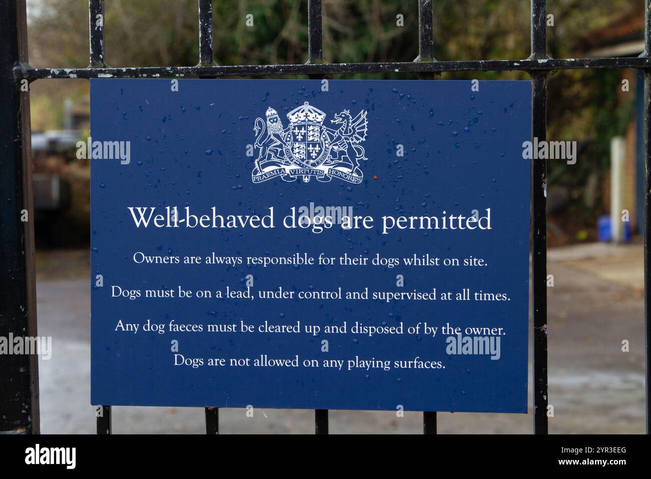 Well of dogs hi-res stock photography and images - Alamy