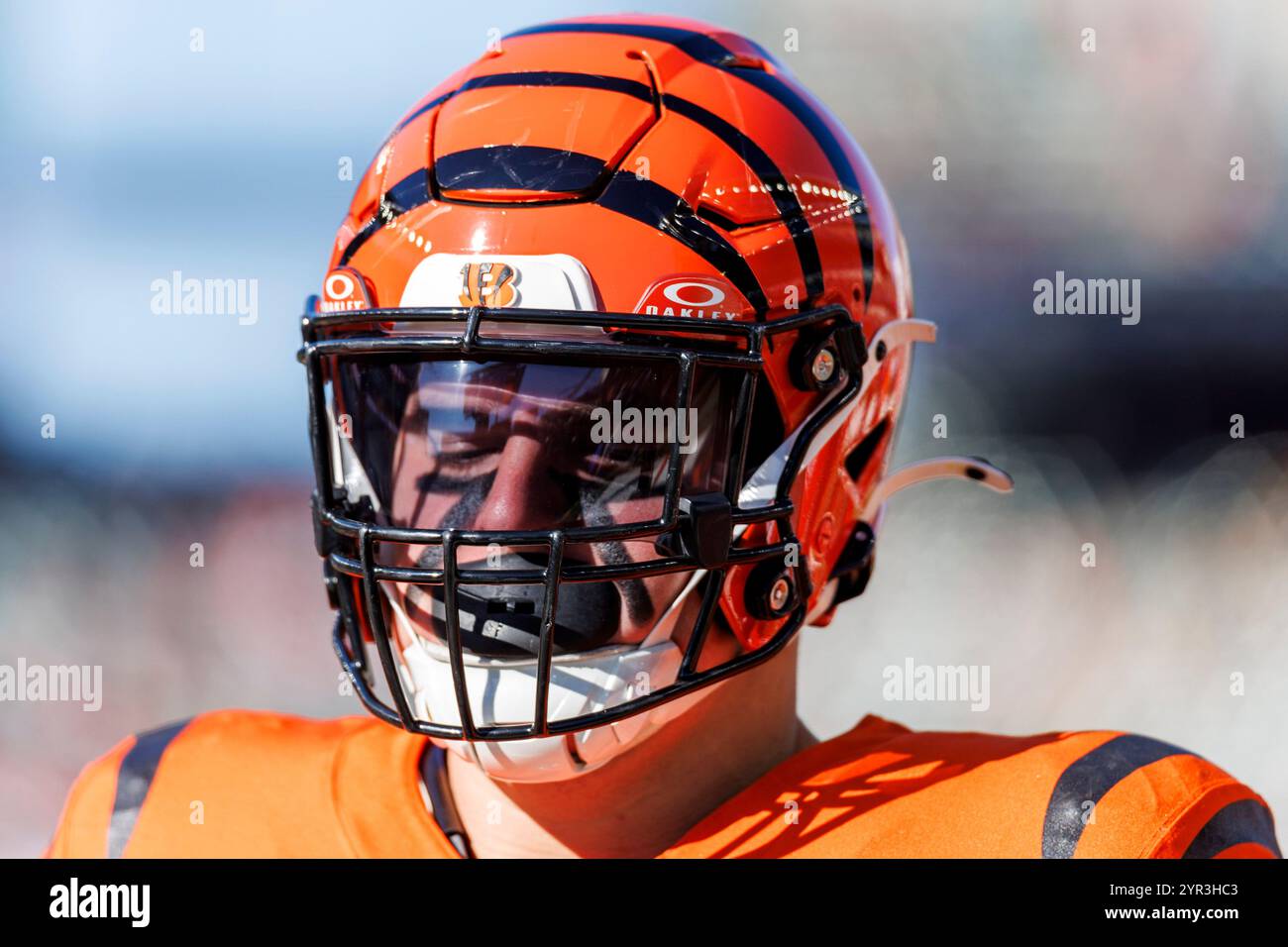 Cincinnati, Ohio, USA. 01st Dec, 2024. Cincinnati Bengals defensive ...