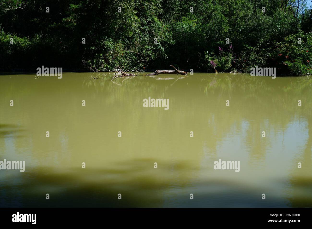 Oasis of Punte Alberete: a freshwater wetland stretching for about 190 ...