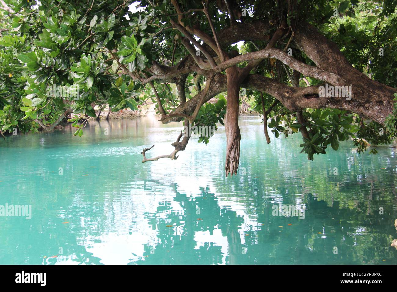 blue lagoon, the filmset of the movie in vanuatu Stock Photo - Alamy