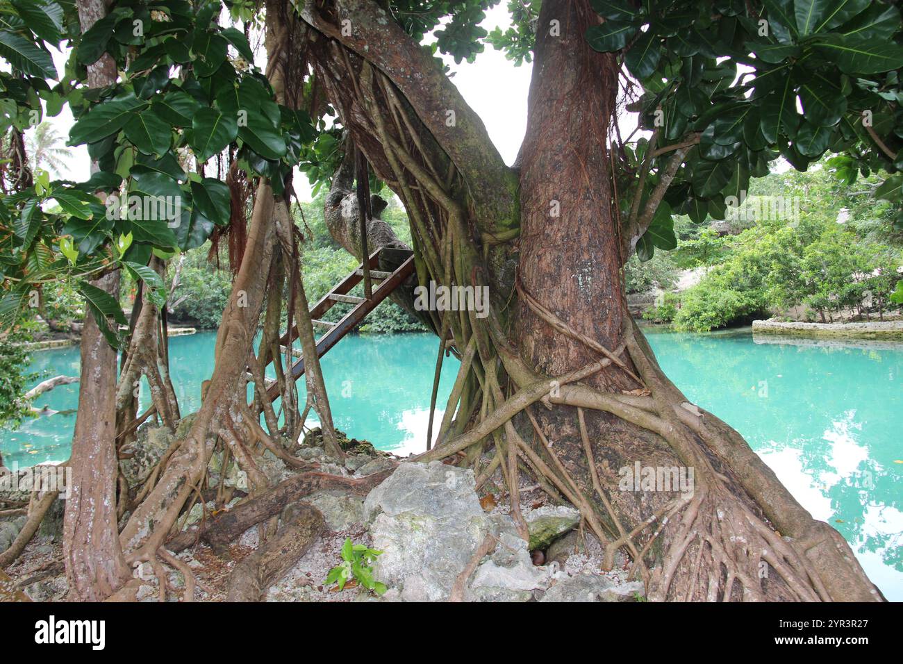 blue lagoon, the filmset of the movie in vanuatu Stock Photo - Alamy
