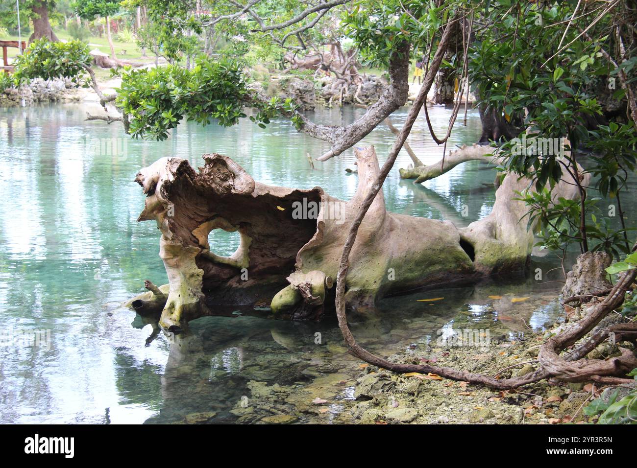 blue lagoon, the filmset of the movie in vanuatu Stock Photo - Alamy