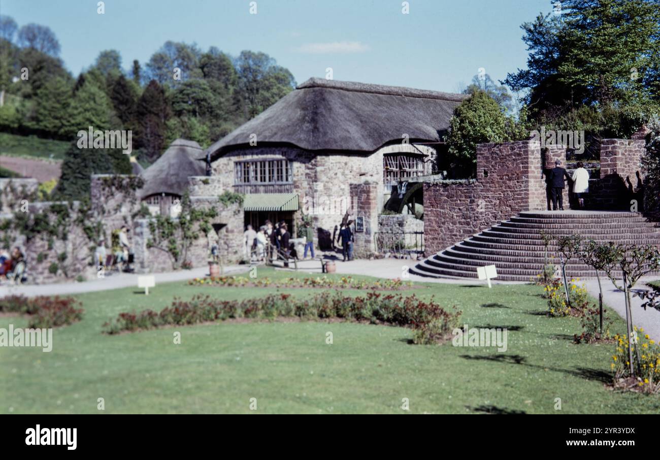 Historical photo of Cockington watermill, Devon, England, UK in the ...