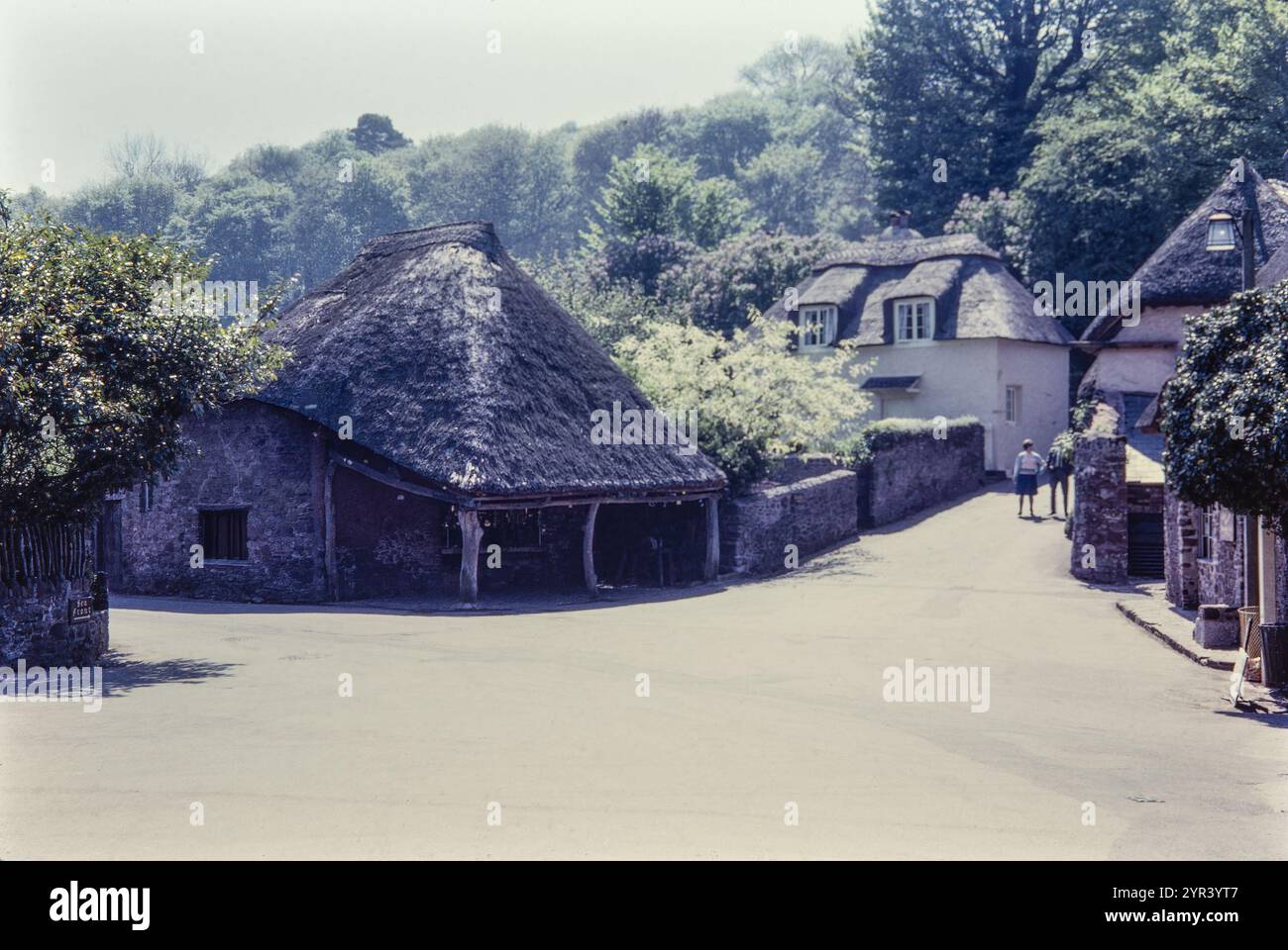 Historical photo of thatched cottages and Cockington Forge in ...