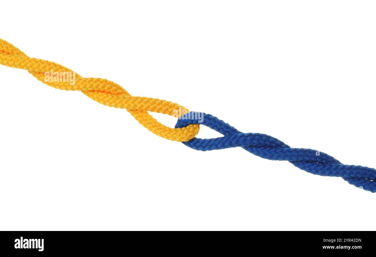 Colorful ropes tied together isolated on white. Unity concept Stock ...