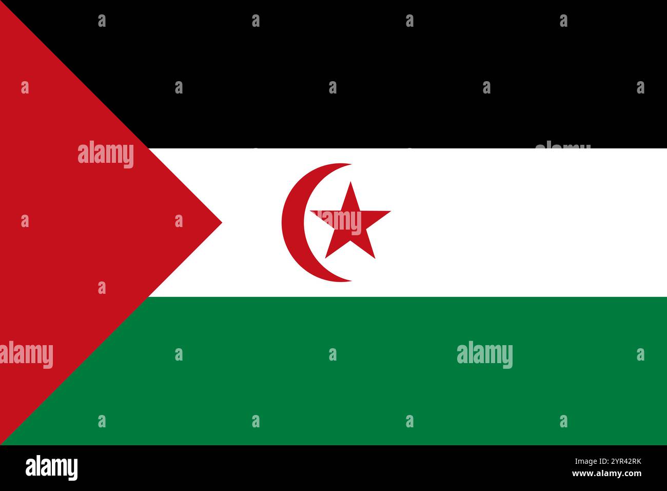 Sahrawi Arab Democratic Republic flag in official colors, dimensions ...