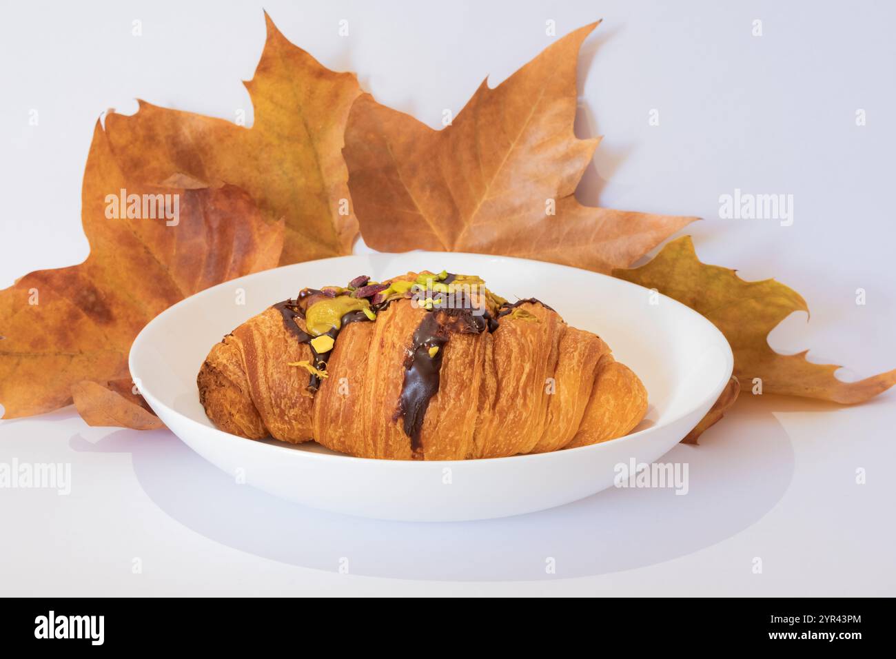 Croissant with chocolate sauce in the white plate with maple leaf and ...