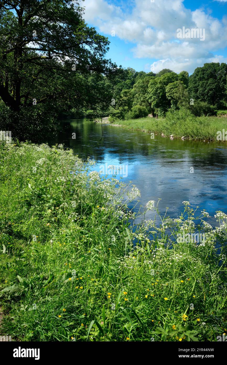 Riverbank Scenes of River Lune in Kirkby Lonsdale Stock Photo - Alamy