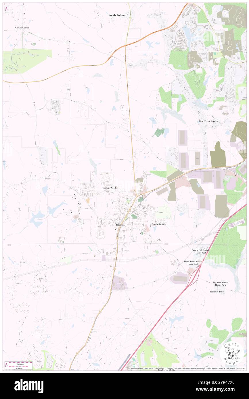 Palmetto georgia Cut Out Stock Images & Pictures - Alamy