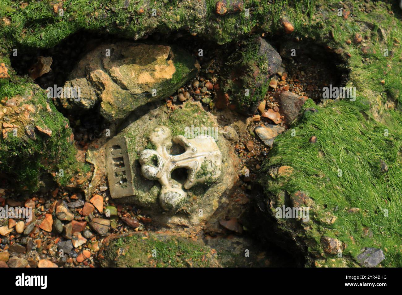 Emsworth, Hampshire, England. 26 August 2024. Unusual skull on the ...