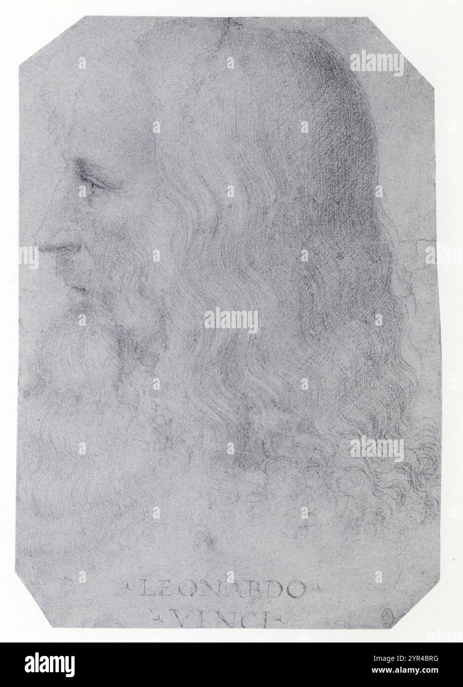 Francesco melzi hi-res stock photography and images - Alamy