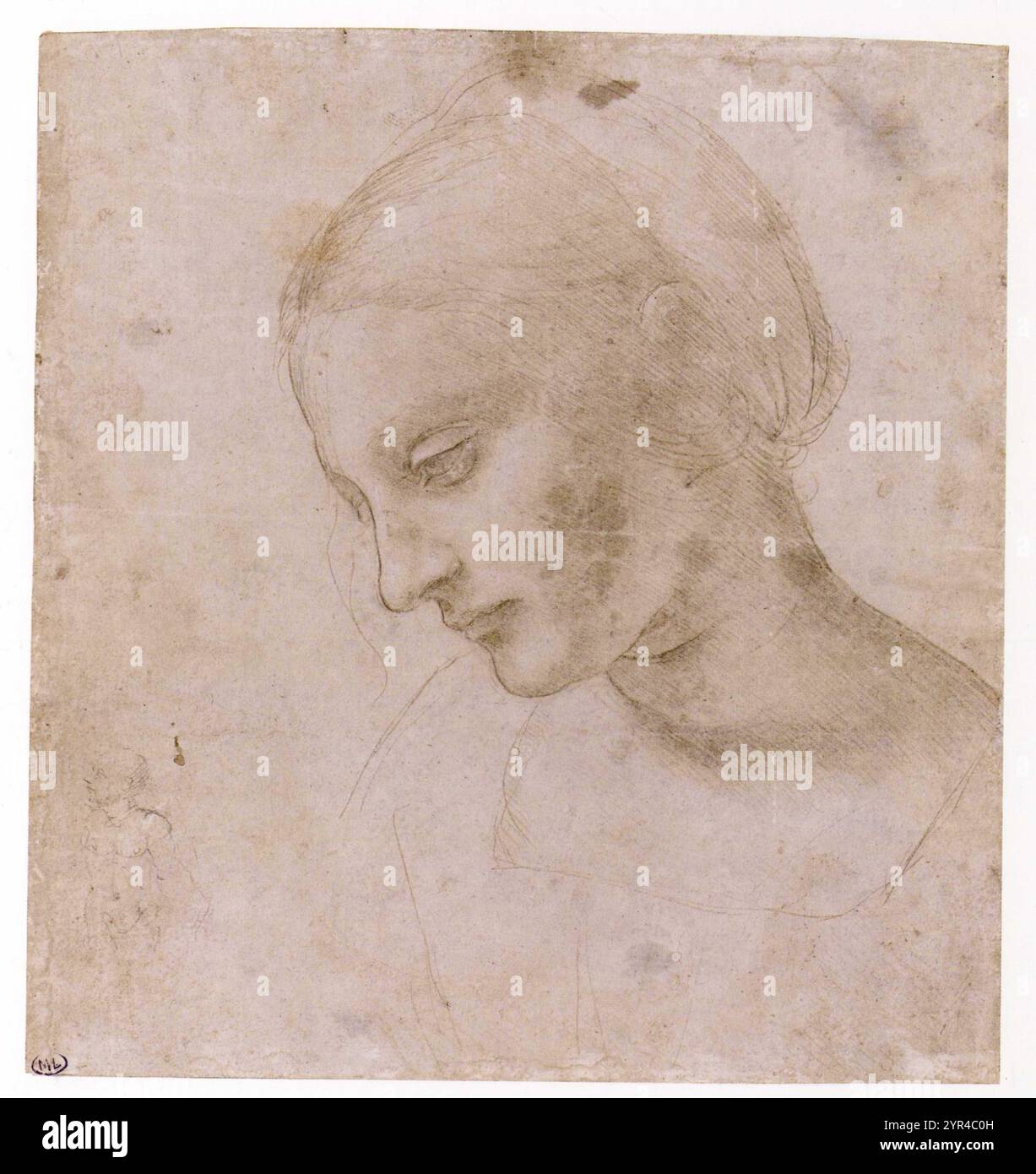 LEONARDO DA VINCI.1452-1519.HEAD OF A WOMAN IN HALF-PROFILE Stock Photo ...