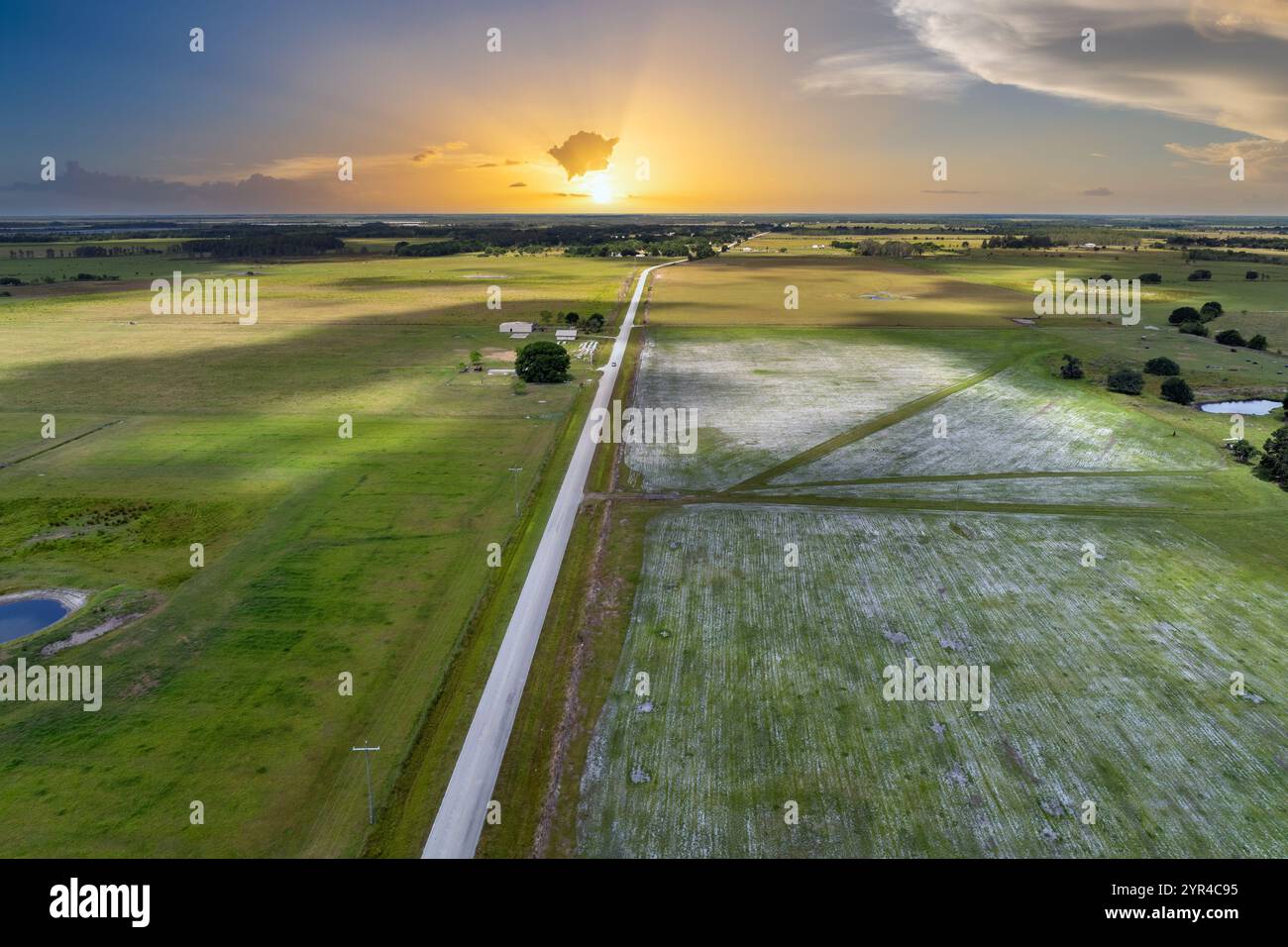 Green agricultural field with growing crops in summer season. Farming ...