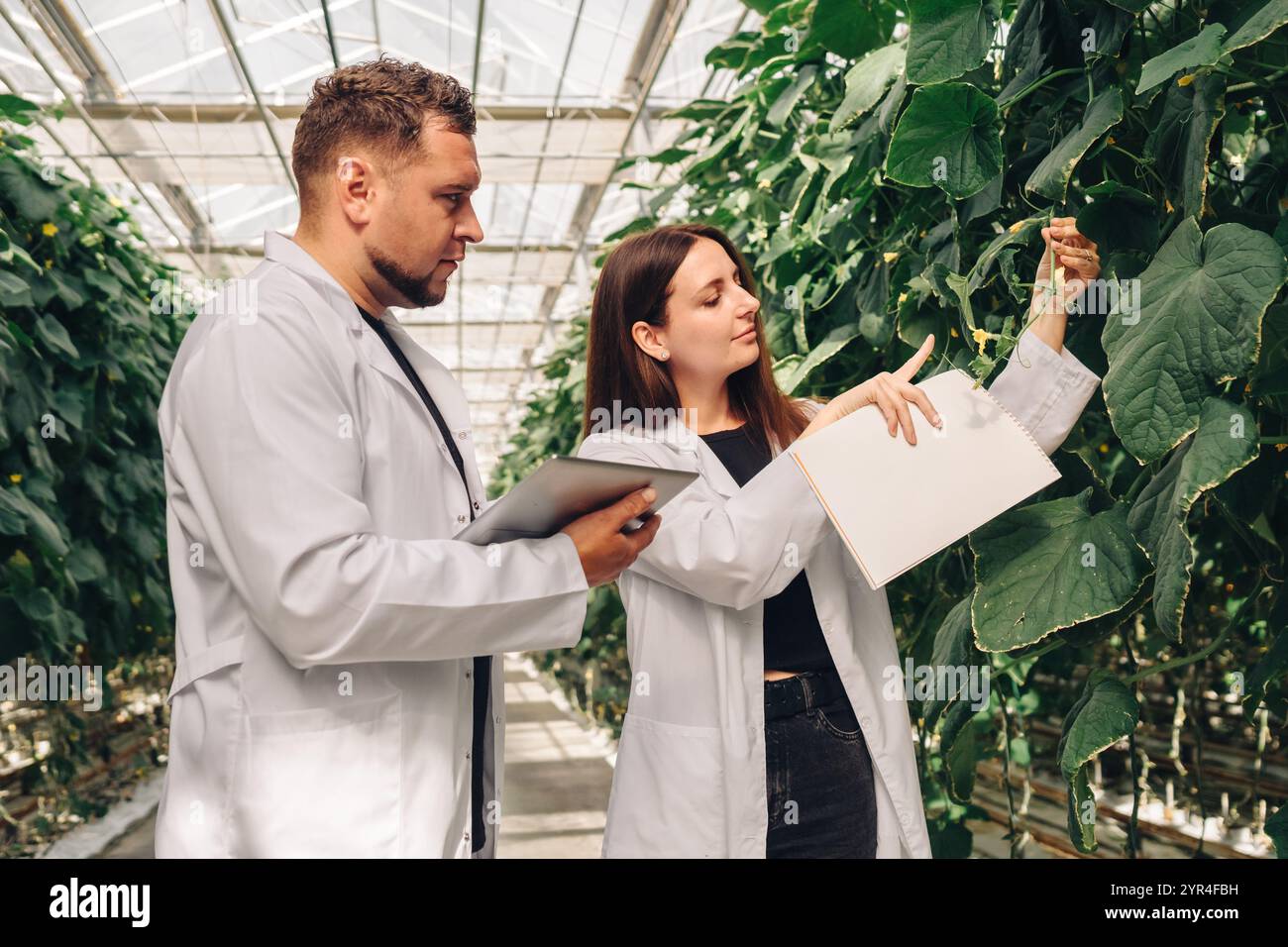Diverse researchers in a lab hi-res stock photography and images - Alamy