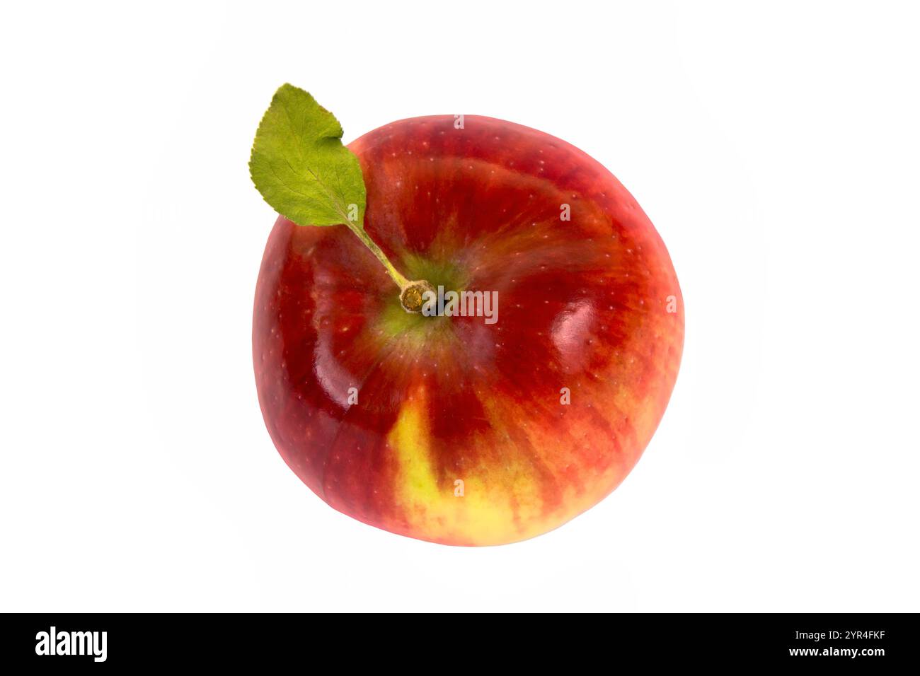 Red apple on white background. Image of a fresh and ripe red apple ...