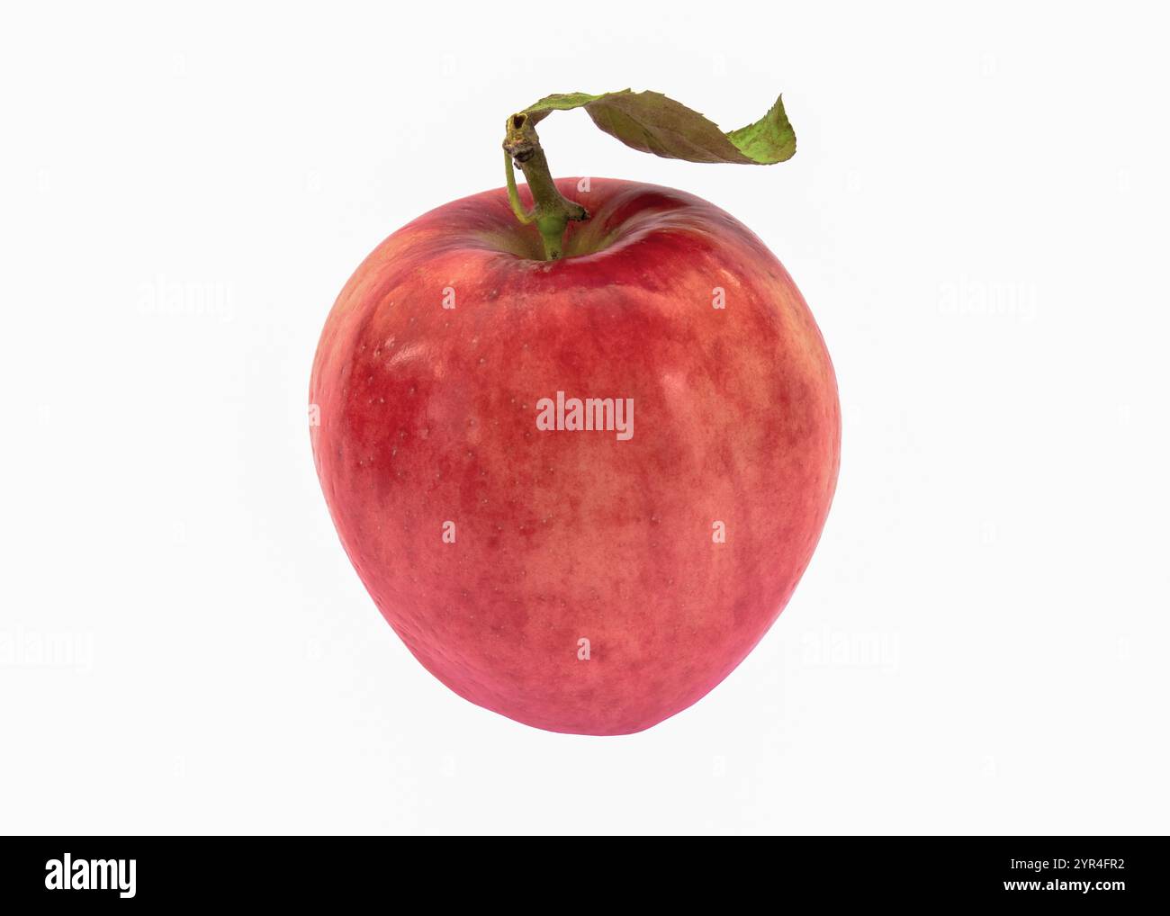 Red apple on white background. Image of a fresh and ripe red apple ...