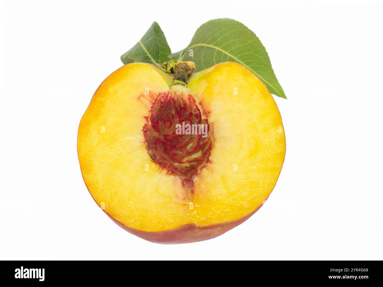 Peach tropical fruit on Cut Out Stock Images & Pictures - Alamy