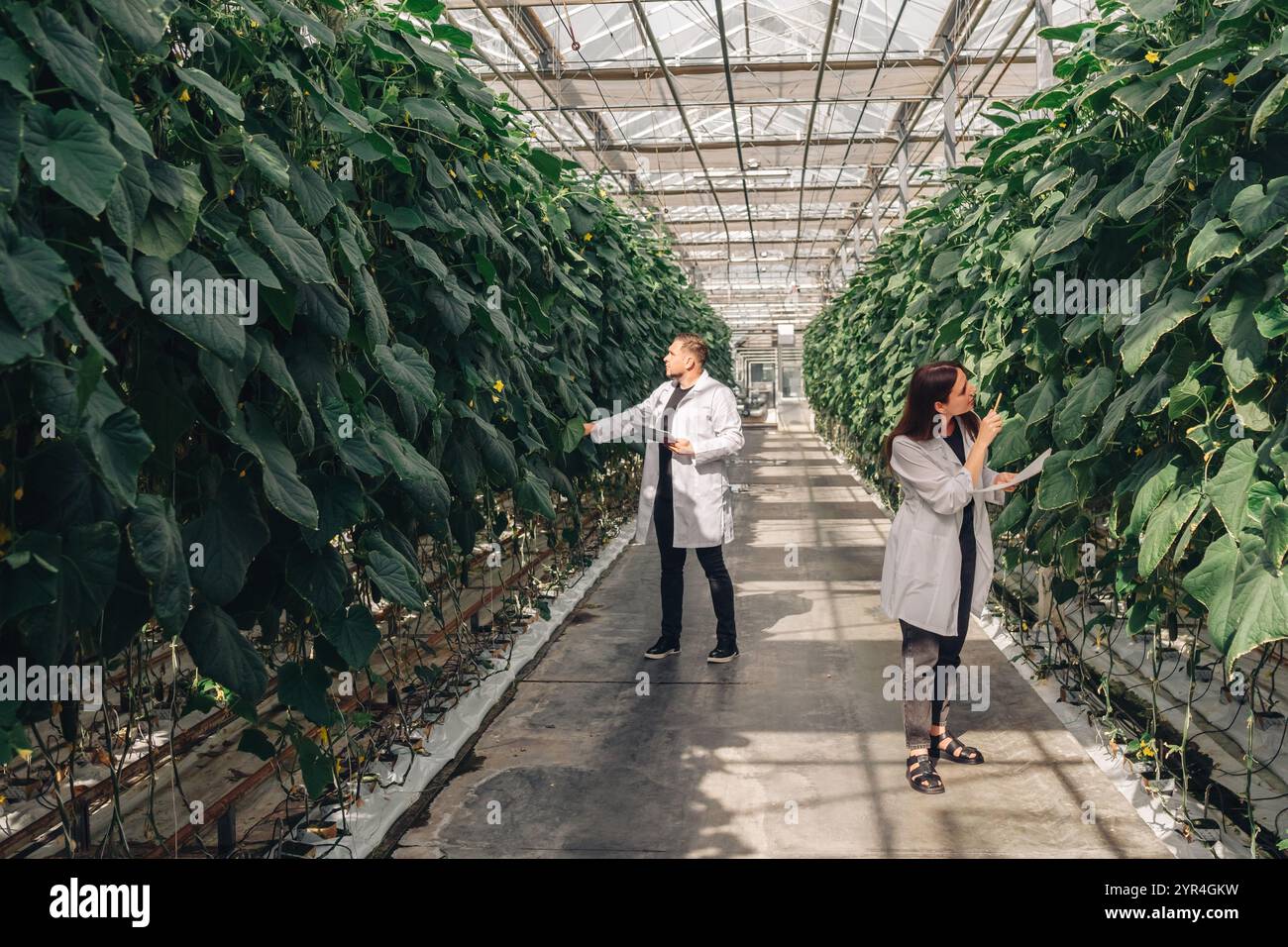 Maximize production hi-res stock photography and images - Alamy
