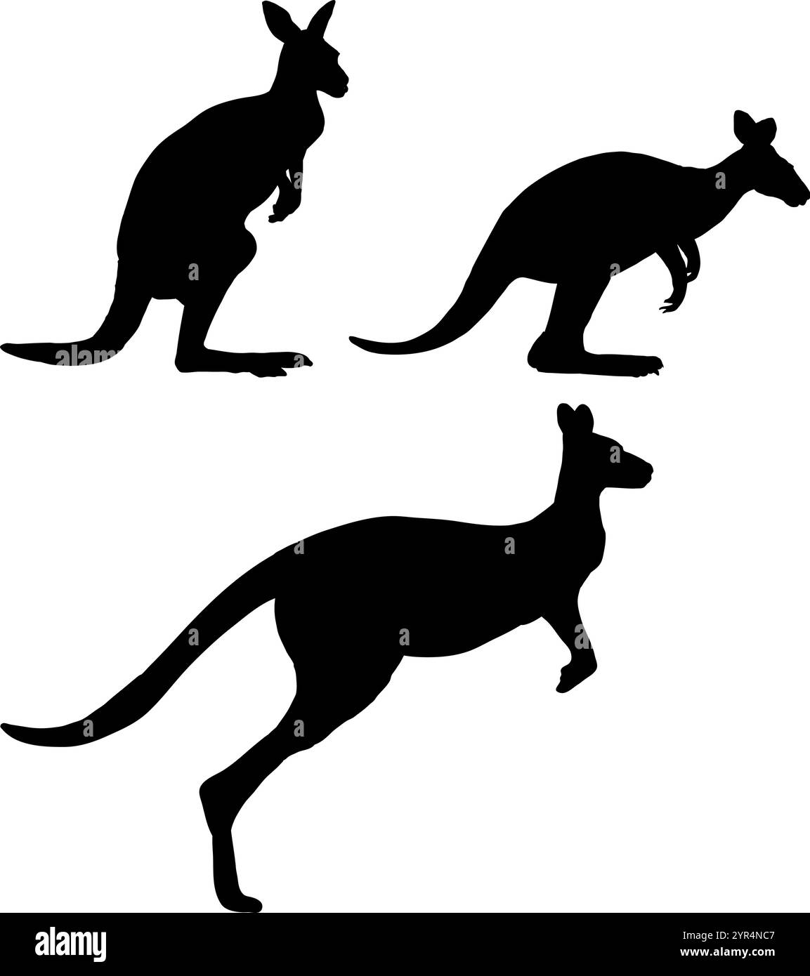 Kangaroo silhouette - vector illustration Stock Vector Image & Art - Alamy