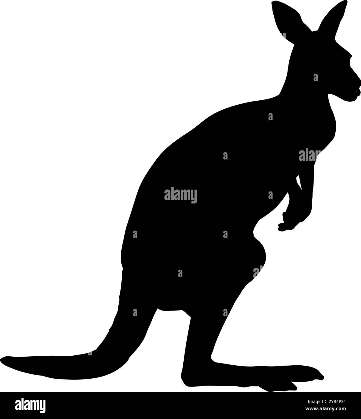Kangaroo silhouette - vector illustration Stock Vector Image & Art - Alamy