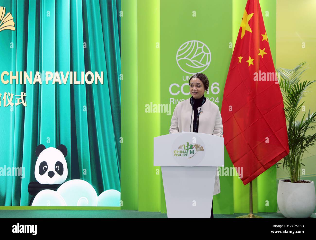 Riyadh, Saudi Arabia. 2nd Dec, 2024. UNCCD Deputy Executive Secretary ...