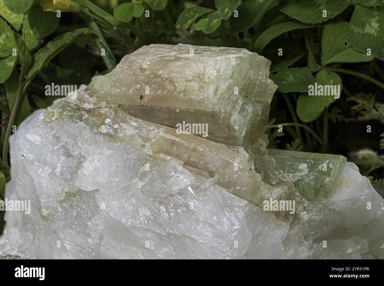Striking natural backdrop hi-res stock photography and images - Alamy