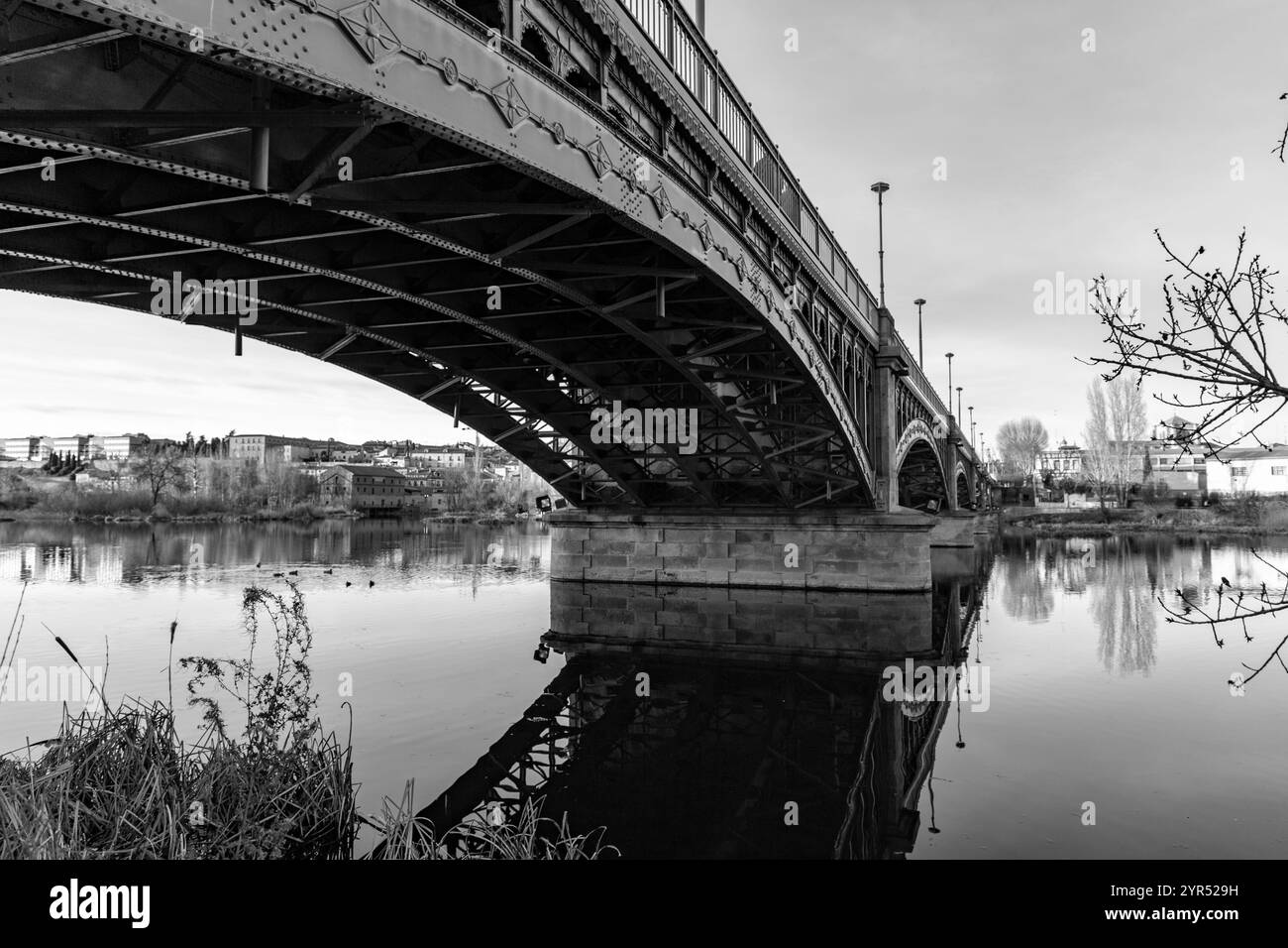 Estevan Black and White Stock Photos & Images - Alamy