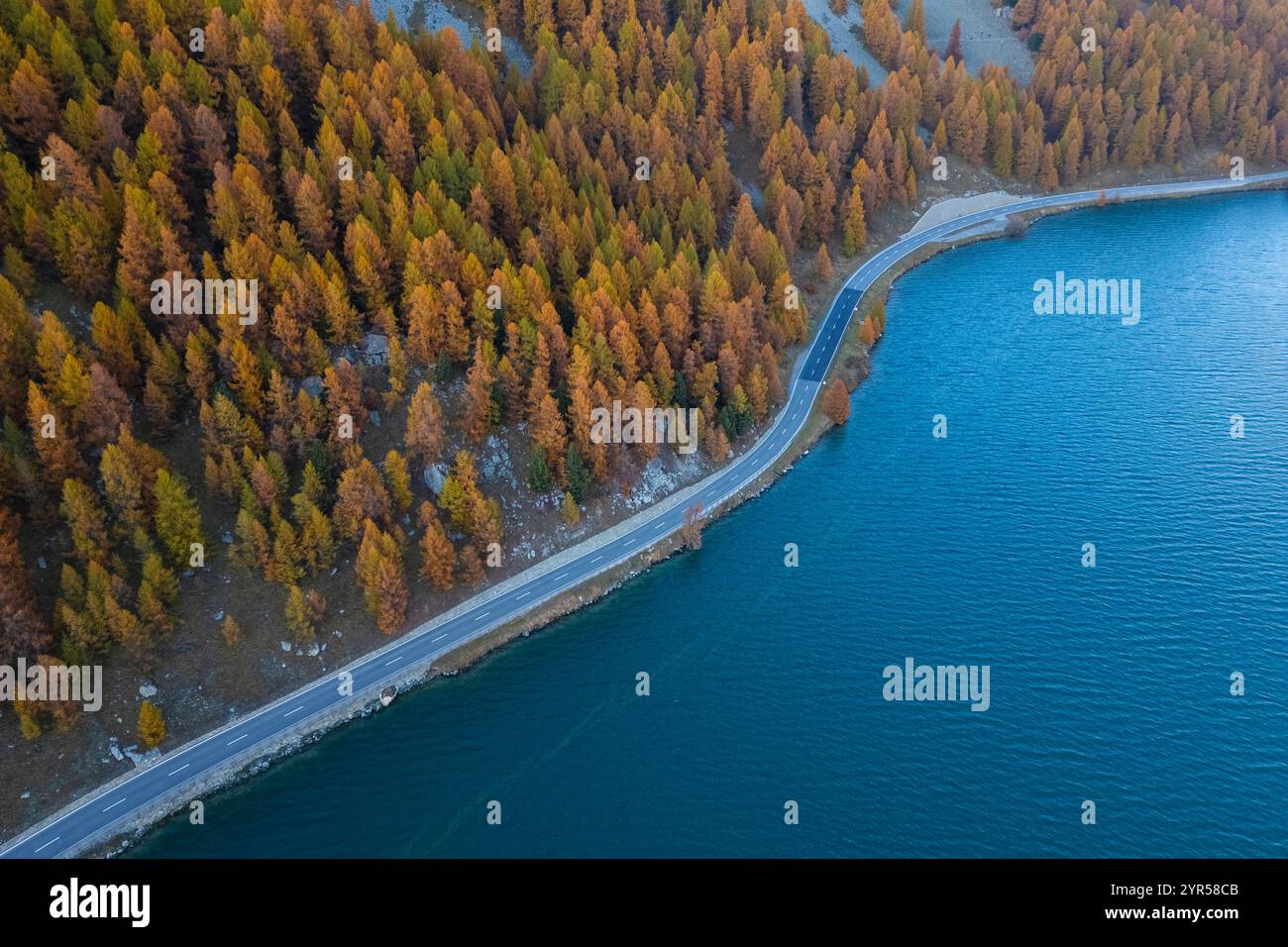 Aerial view of the Sils Lake and it's coastal road in autumn. Sils im ...