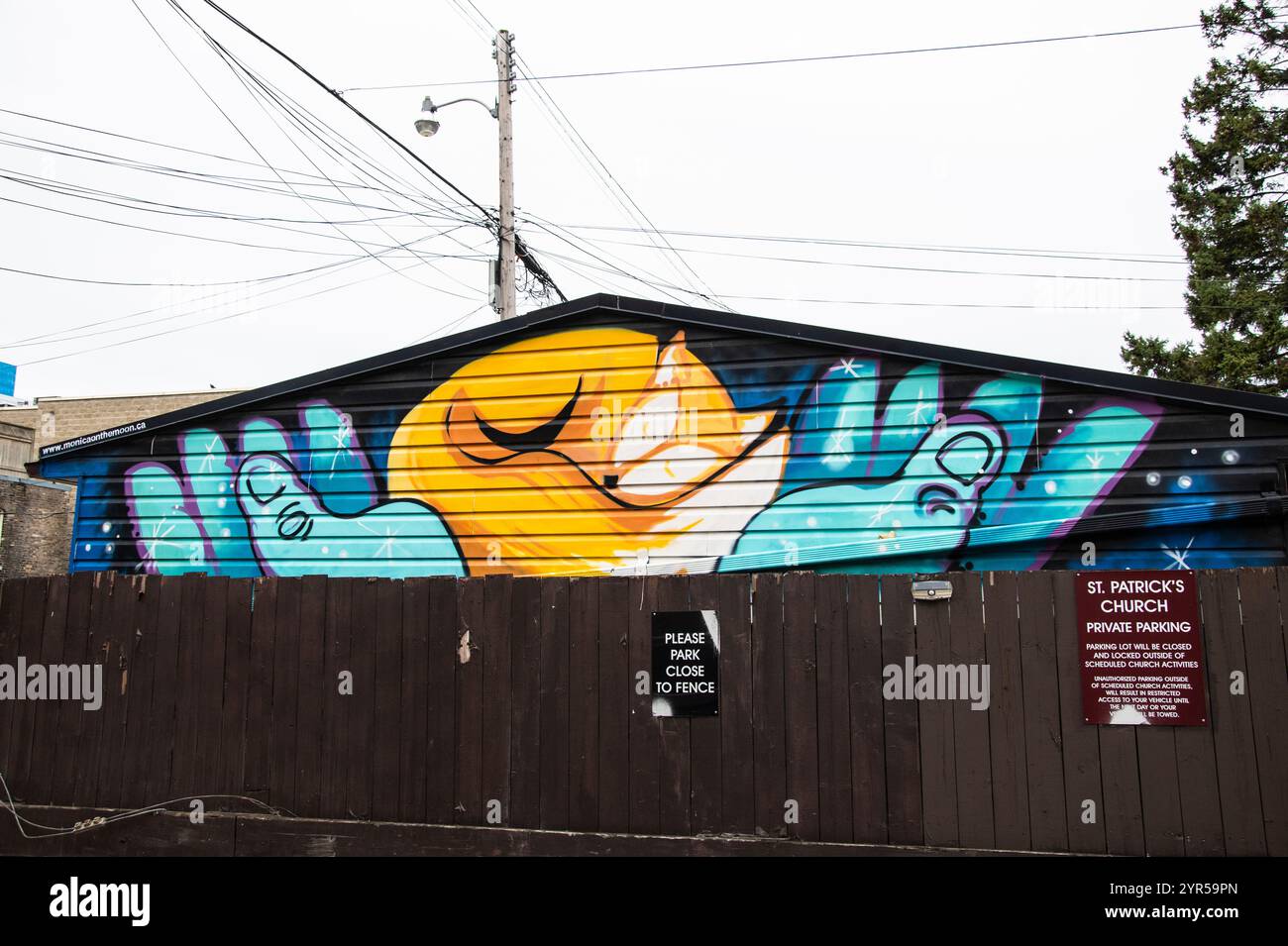 Fox in ontario canada hi-res stock photography and images - Alamy