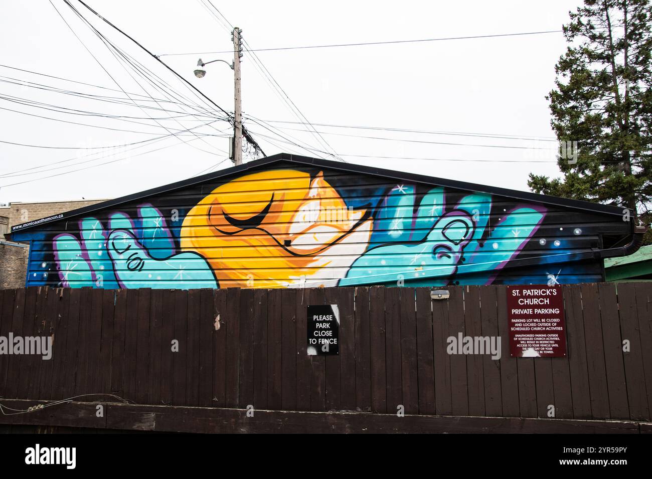 Fox in ontario canada hi-res stock photography and images - Alamy