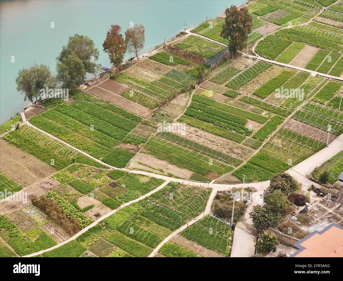 Aerial photo shows a rural vegetable base in Wayao village, Siyang town ...