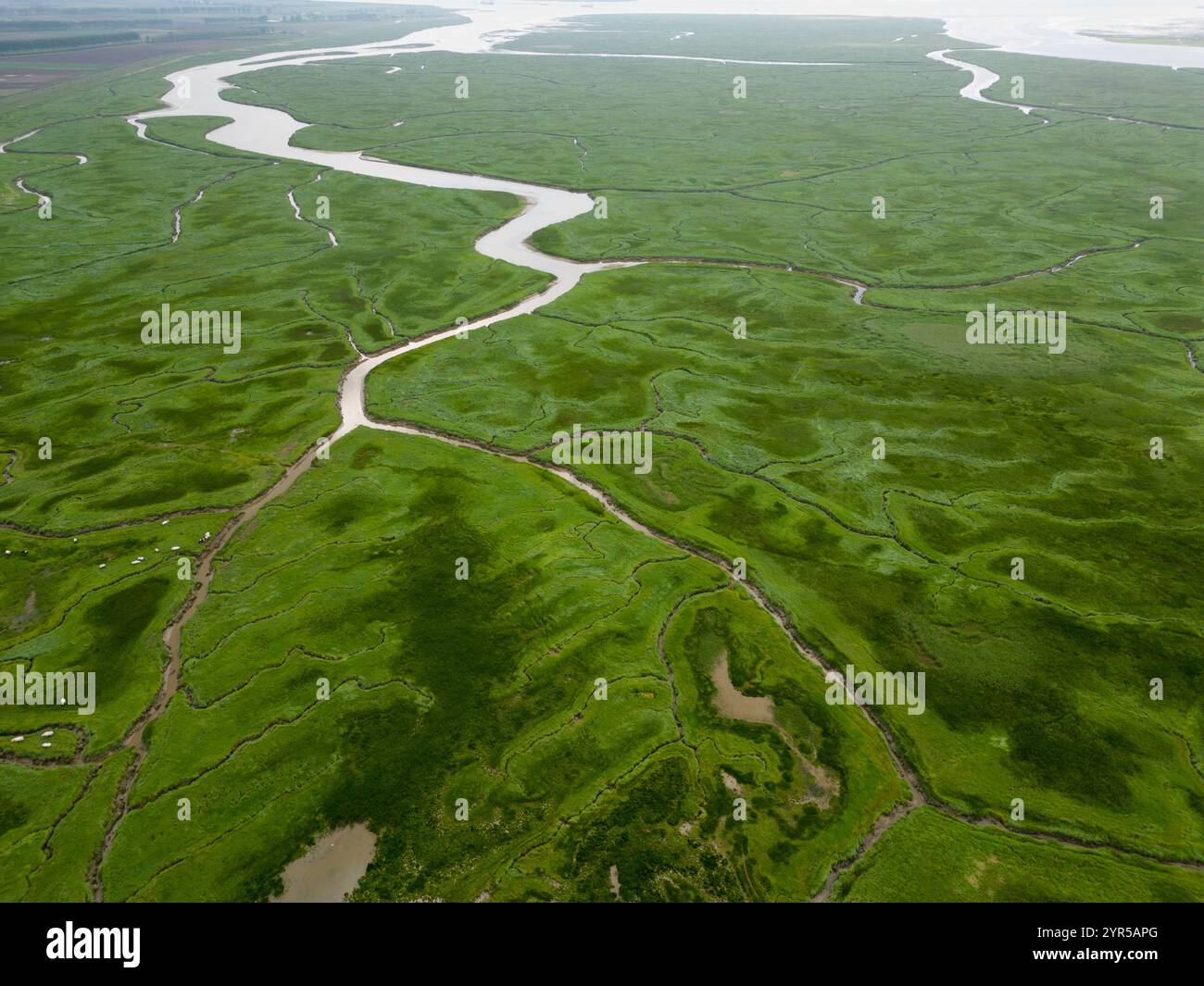Aerial view of tidal channels and gullies, Saeftinge, The Netherlands ...