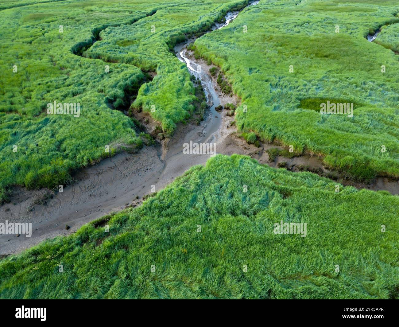 Aerial view of tidal channels and gullies, Saeftinge, The Netherlands ...