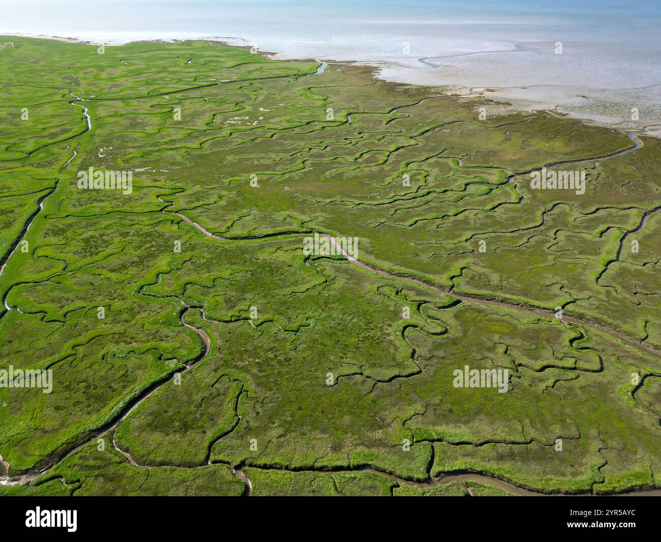 Aerial view of tidal channels and gullies, Saeftinge, The Netherlands ...