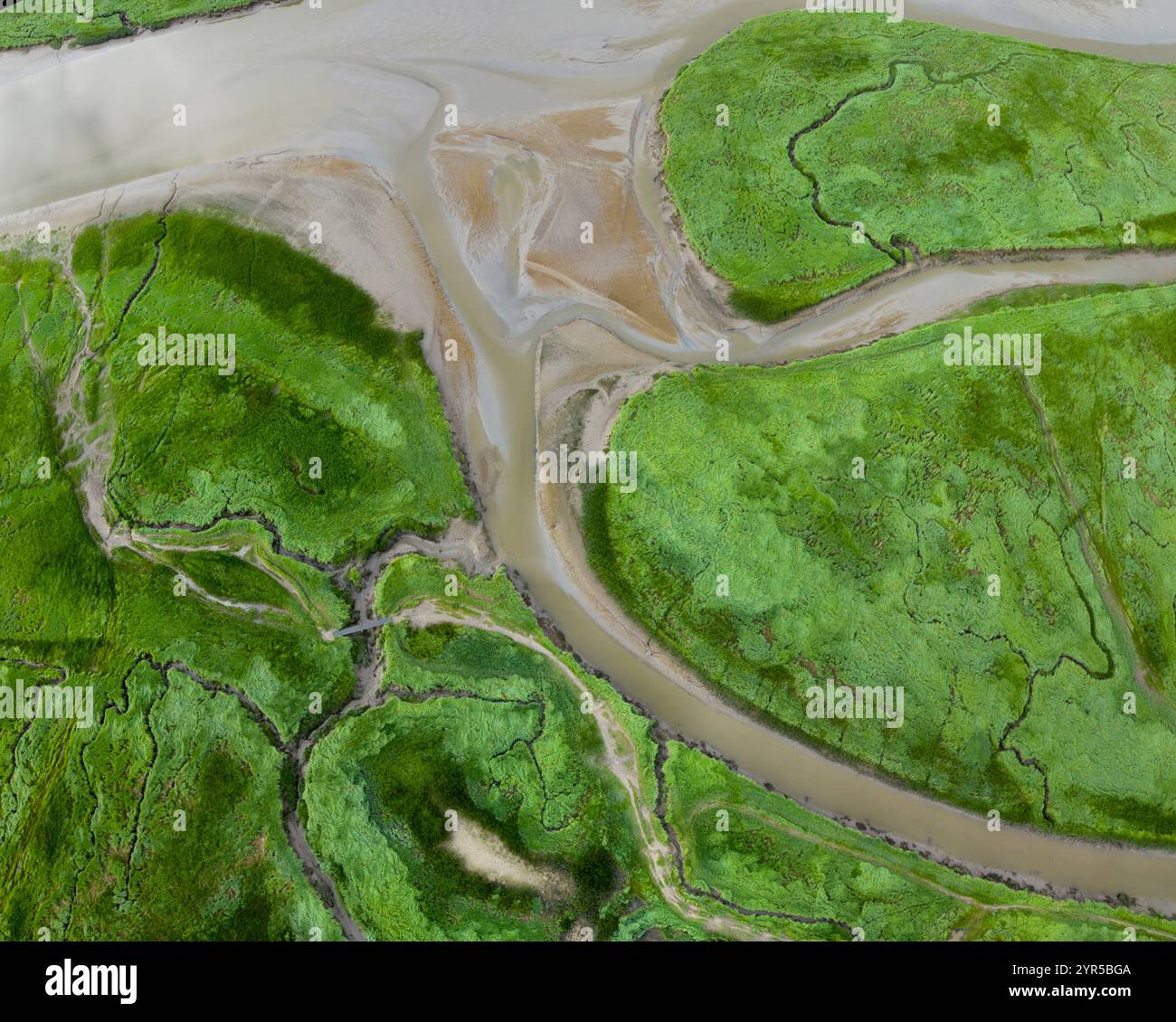 Aerial view of tidal channels and gullies, Saeftinge, The Netherlands ...