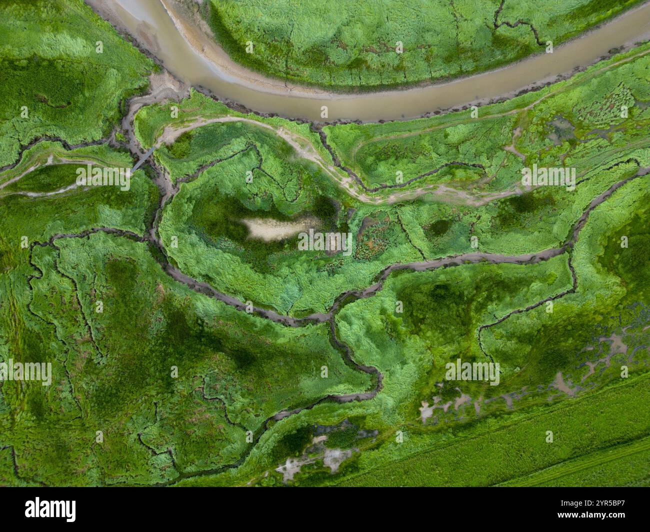 Aerial view of tidal channels and gullies, Saeftinge, The Netherlands ...